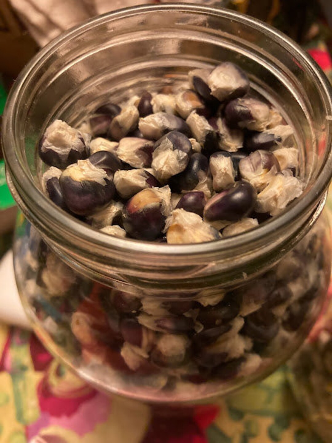 50 Count Blue Hopi Corn Seeds - Heirloom Non-gmo Variety for Planting ...