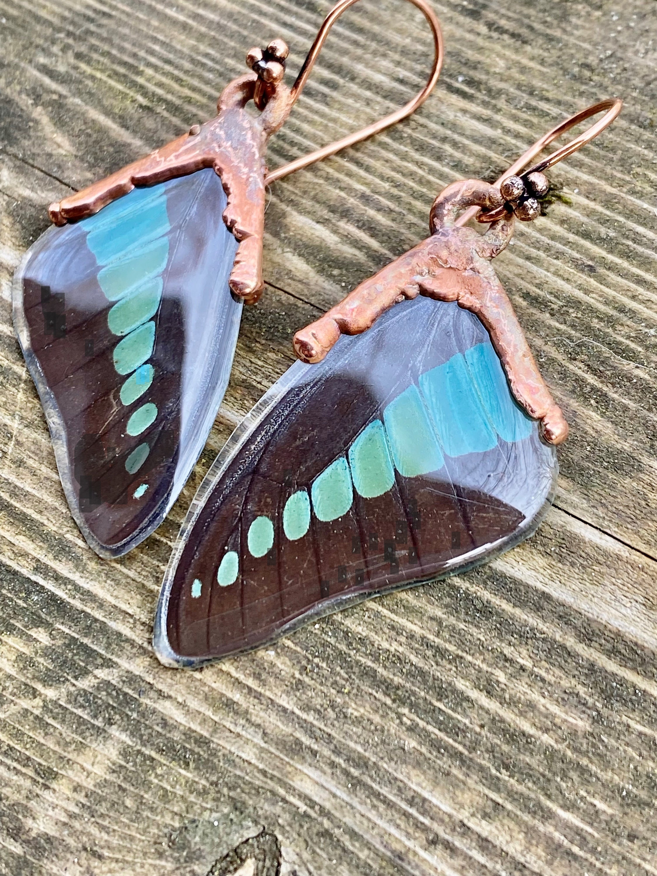 Real Blue Bottle Butterfly Wing Earrings : r/witchyaesthetic