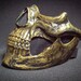 Gold Mask Human Skull Half Skull Mask - Etsy