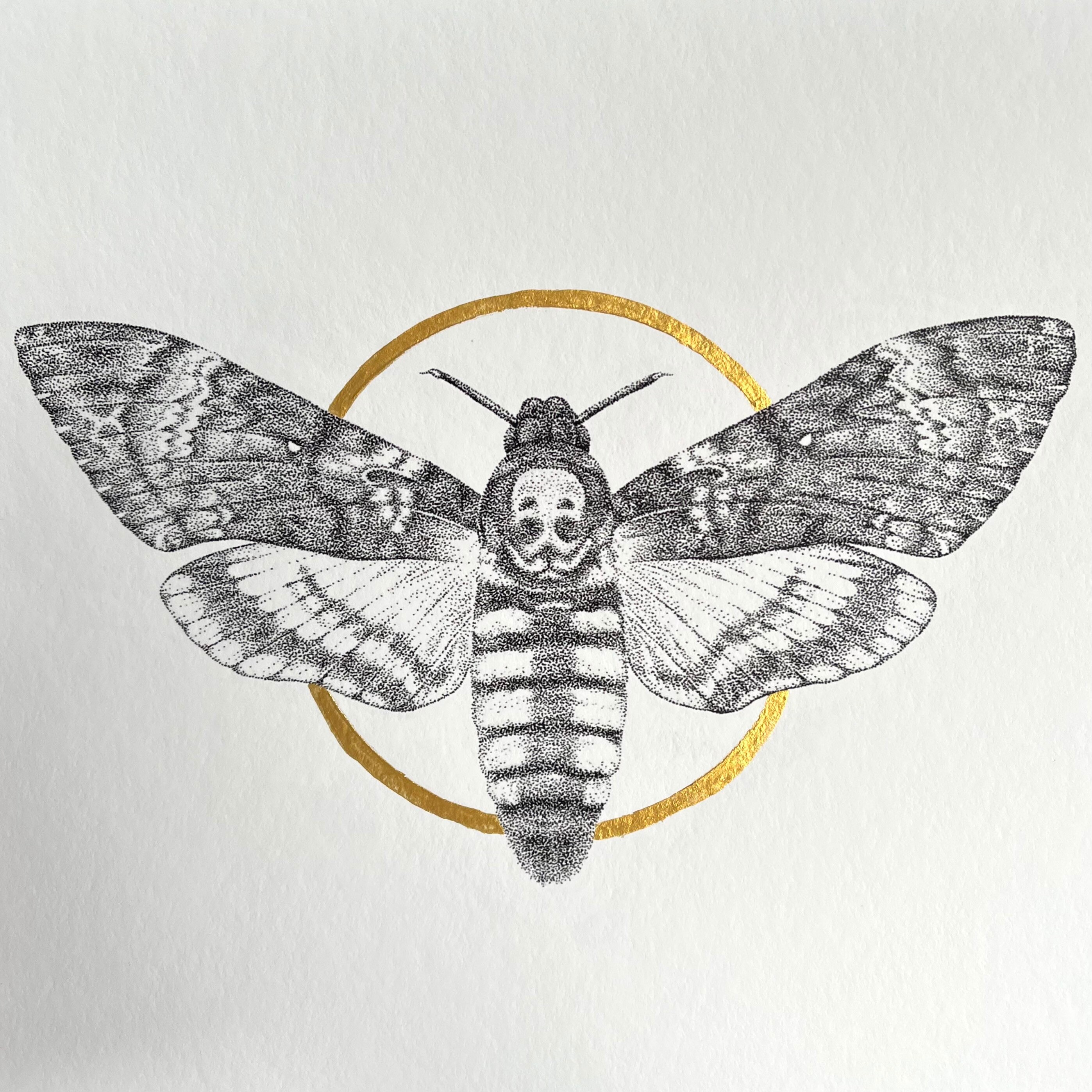 Death’s-head Hawkmoth Wall Art / Death Head Moth Dotwork Stippling ...