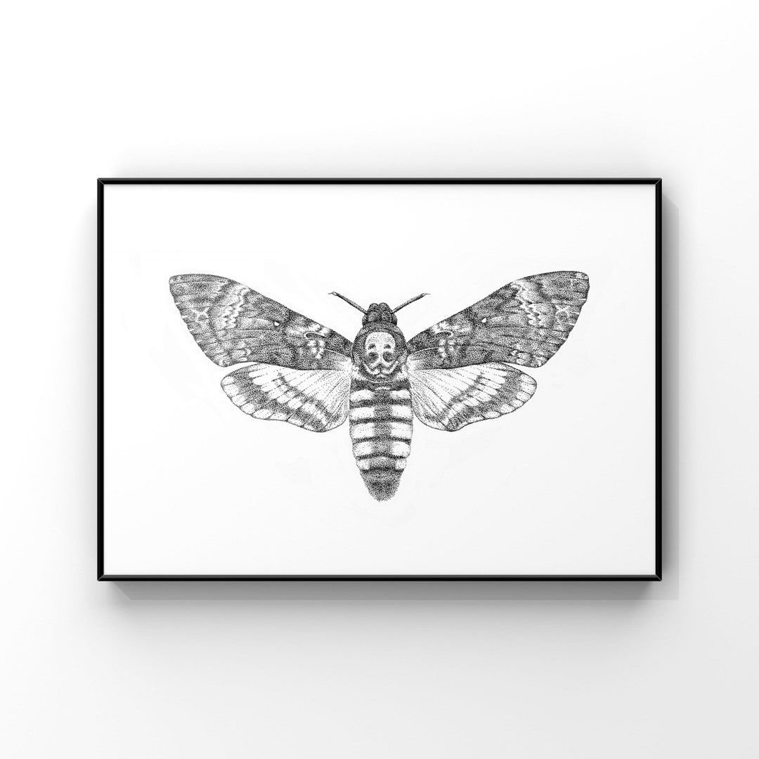 Death’s-head Hawkmoth Wall Art / Death Head Moth Dotwork Stippling ...