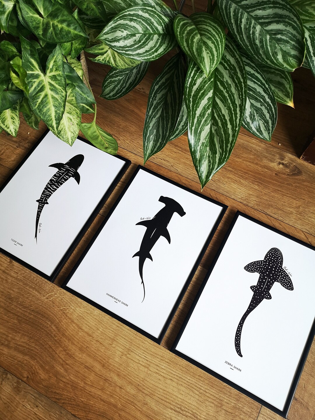 Sharks Art Prints Set Ocean Poster Hammerhead Tiger Shark - Etsy