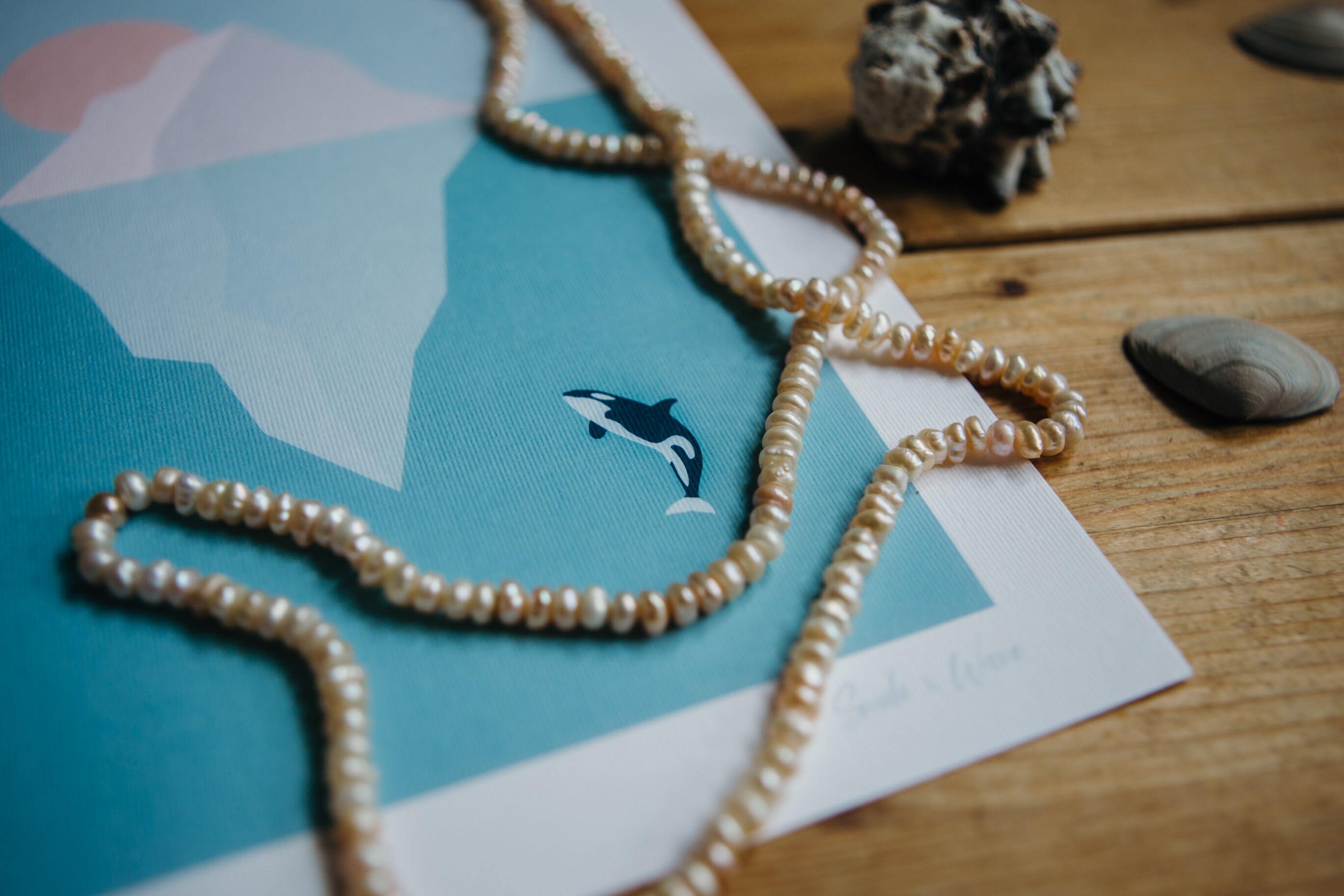 Orca Art Print Set, Killer Whale Print, Orca Poster, Whale tail Art ...