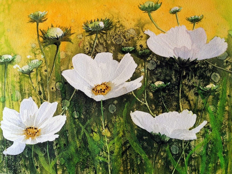 Cosmos Purity Flower Painting Original Watercolour Size 12 X - Etsy