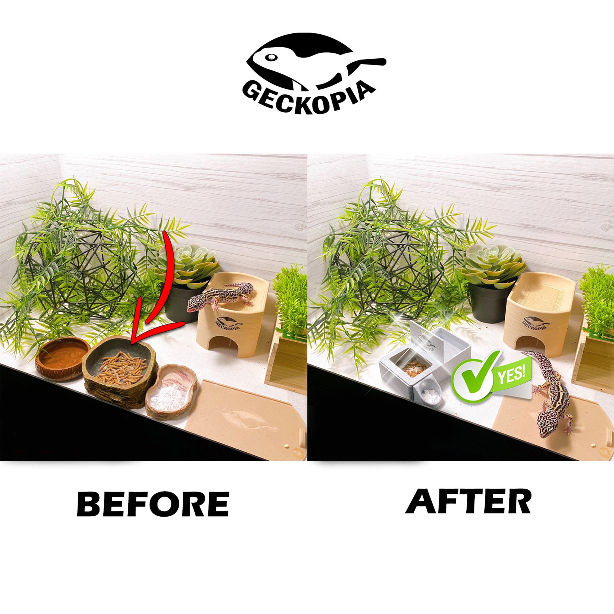 3.0 Geckopia Triple Dish Leopard Gecko Dish Reptile Dish - Etsy UK