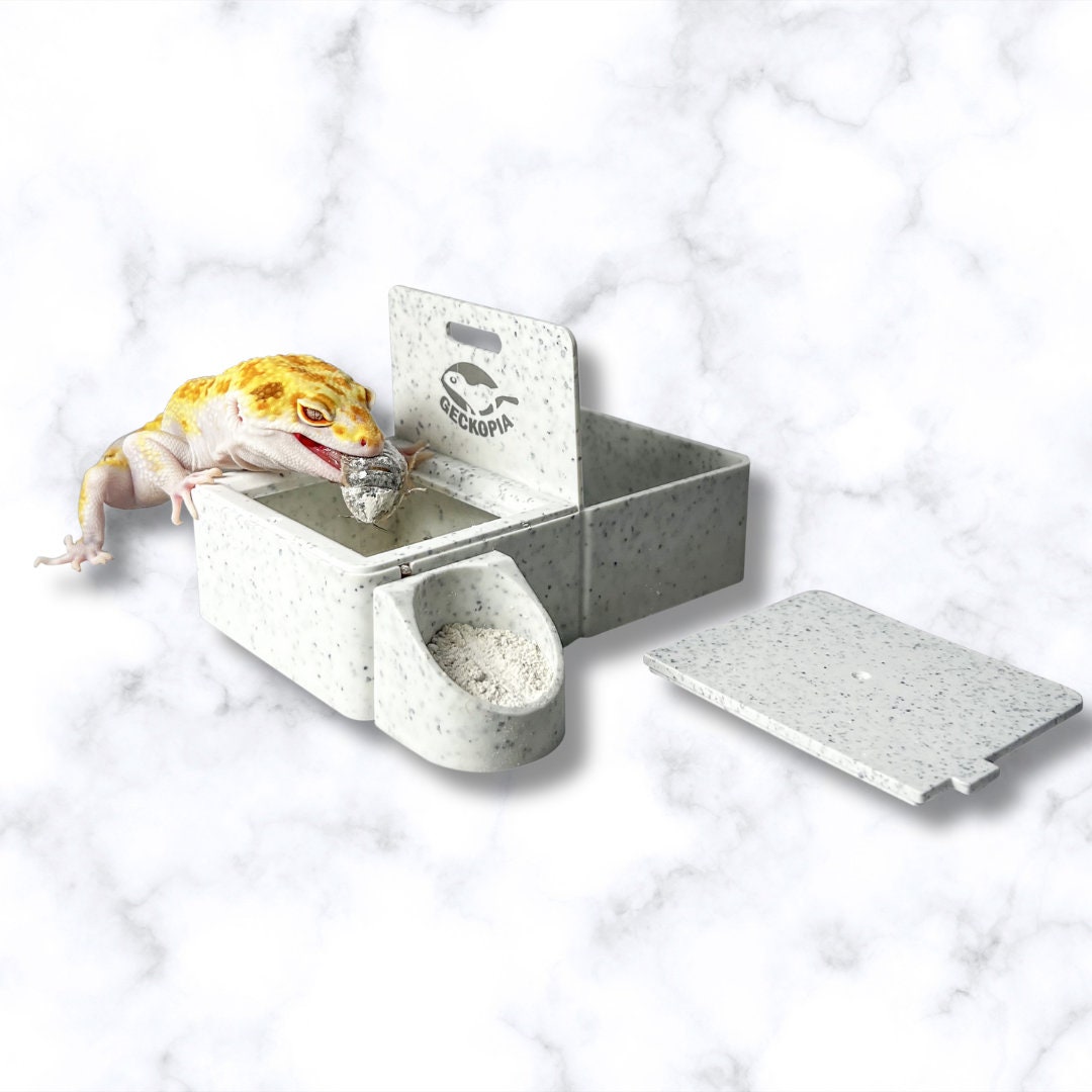 3.0 Geckopia Triple Dish Leopard Gecko Dish Reptile Dish - Etsy
