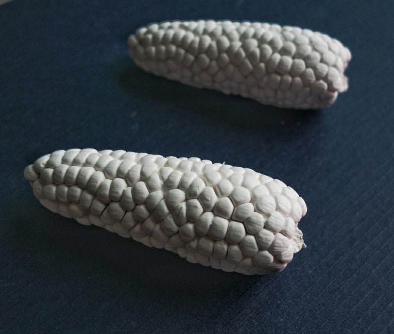 Corn Silicone Mould - Etsy