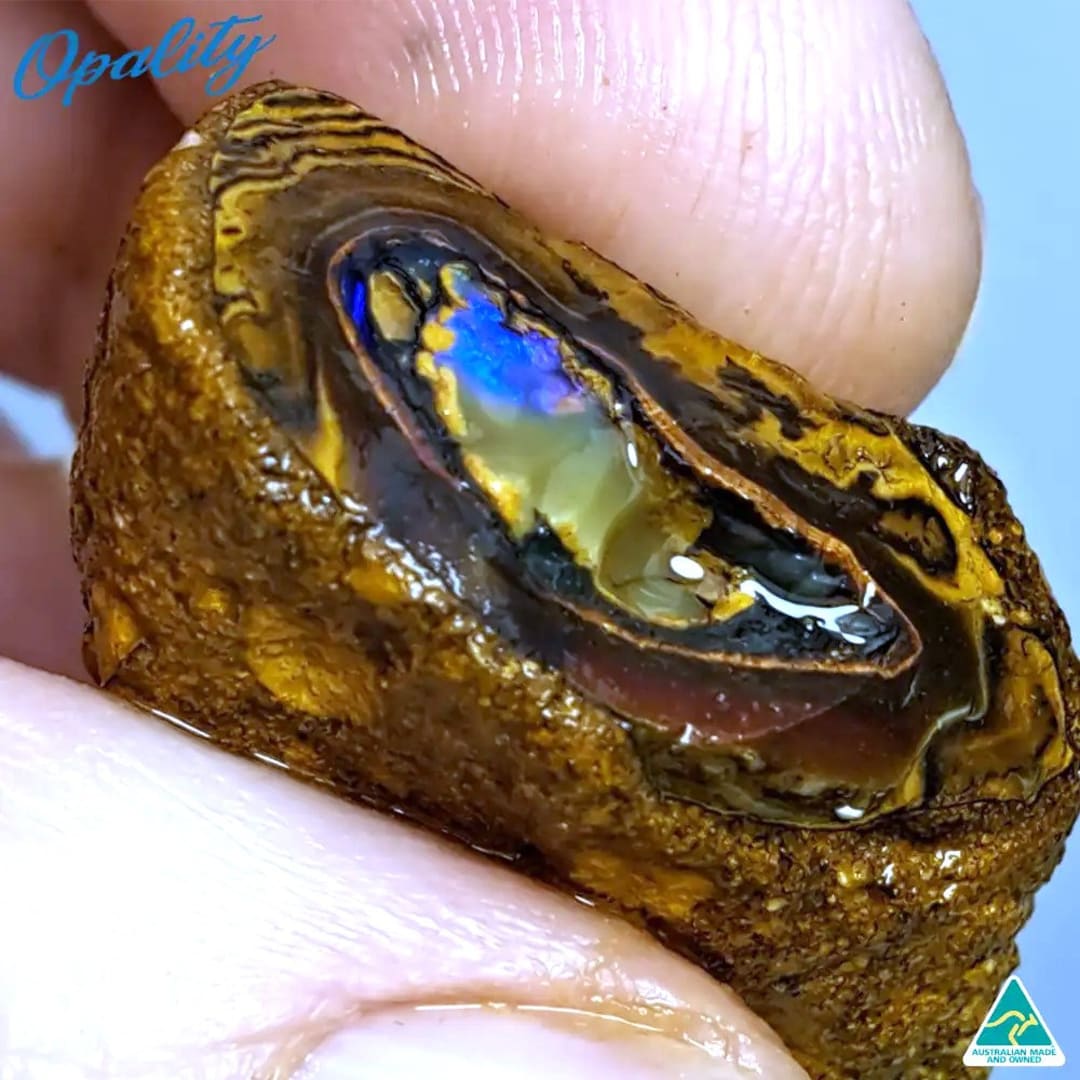 Australian Yowah Nut Boulder Opal Rough 12.5g - Etsy