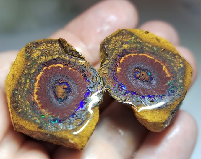 Boulder Opal Rough - Yowah Nut Cut Pair 40g - Etsy