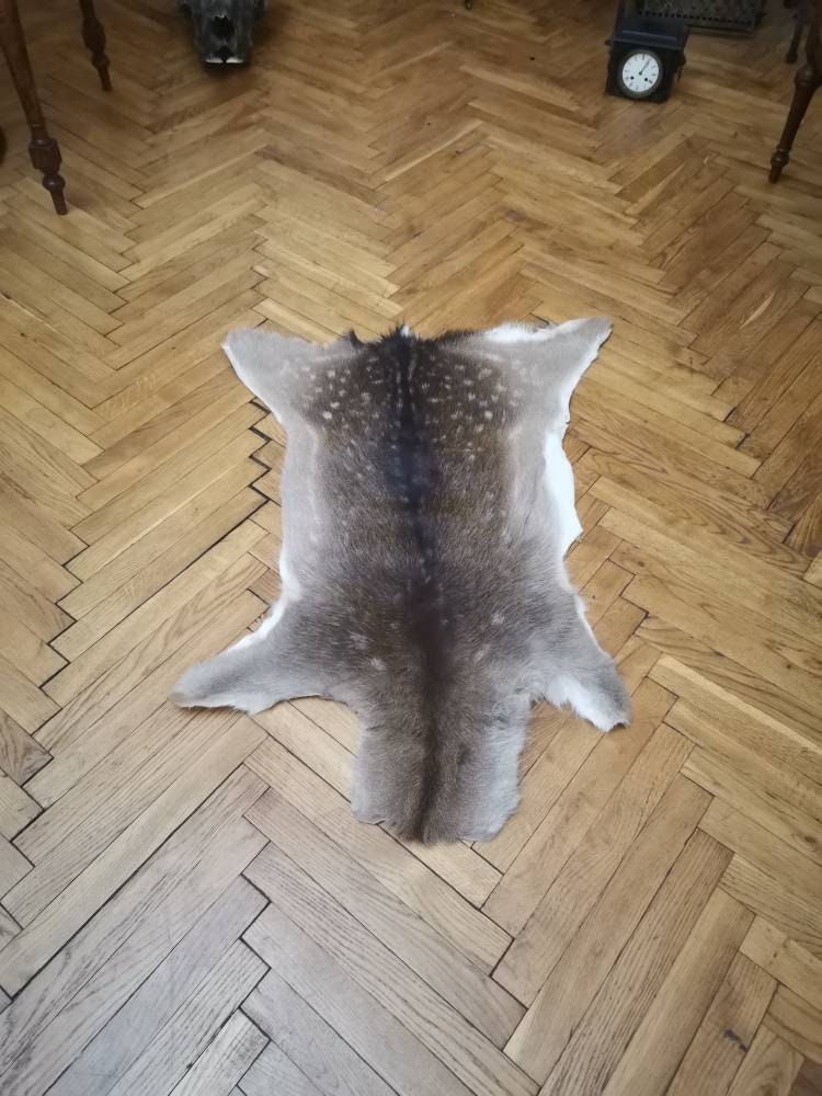 Fallow Deer Skin Hide Area Rug Fur dama Dama Living Room | Etsy