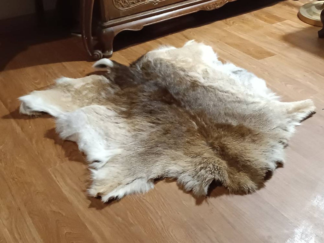 Fallow Deer Skin Hide Rug Winter Long Hair Silverish Coat Fur, Floor ...