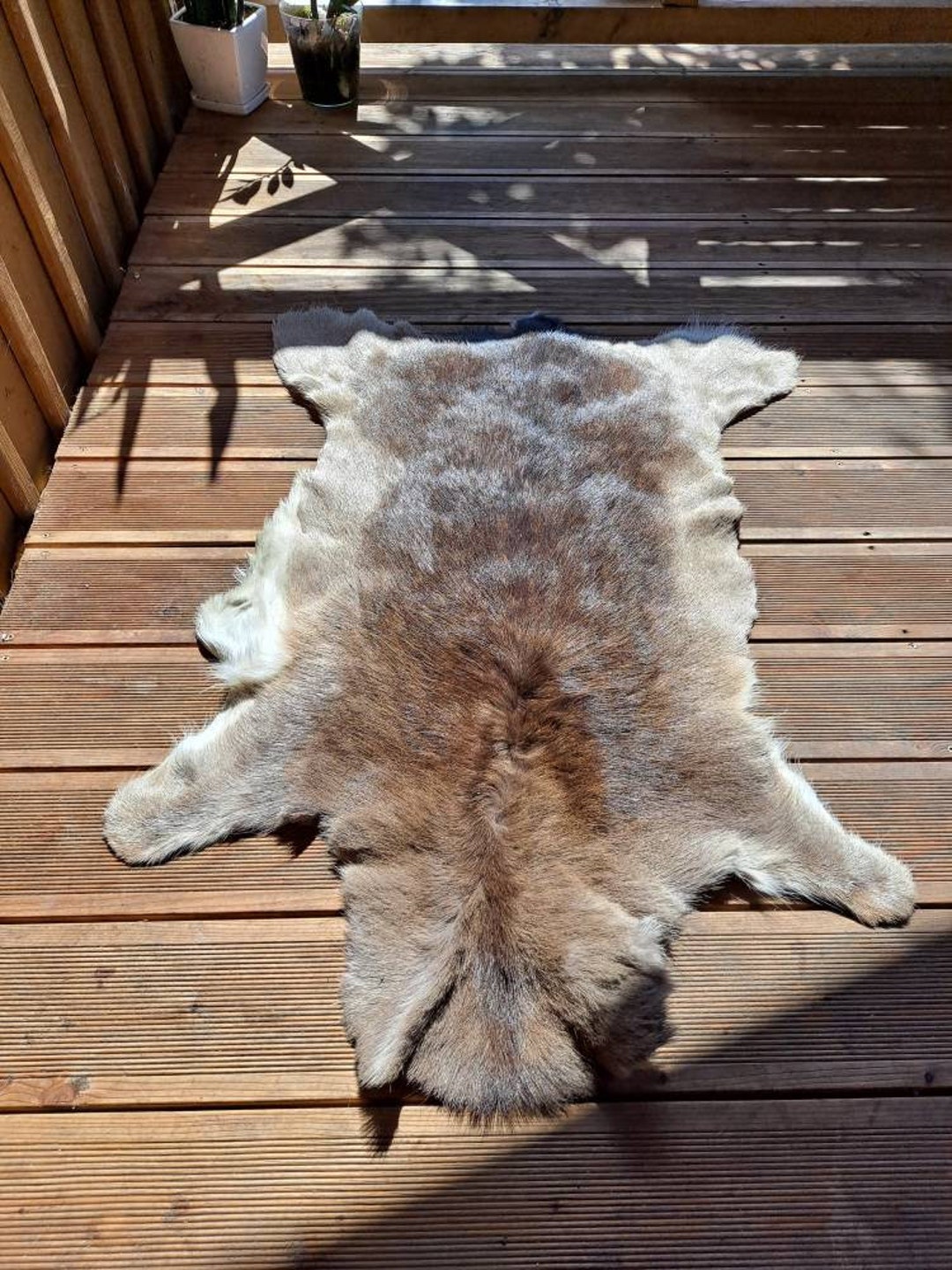 Fallow Deer Skin Hide Rug Fur dama Dama Living Room Hallway - Etsy