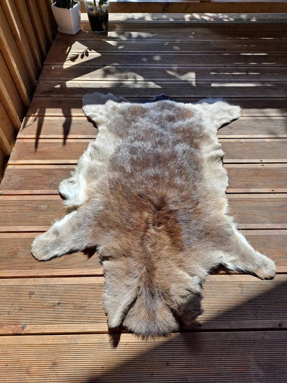 Fallow Deer Skin Hide Rug Fur dama Dama Living Room Hallway - Etsy