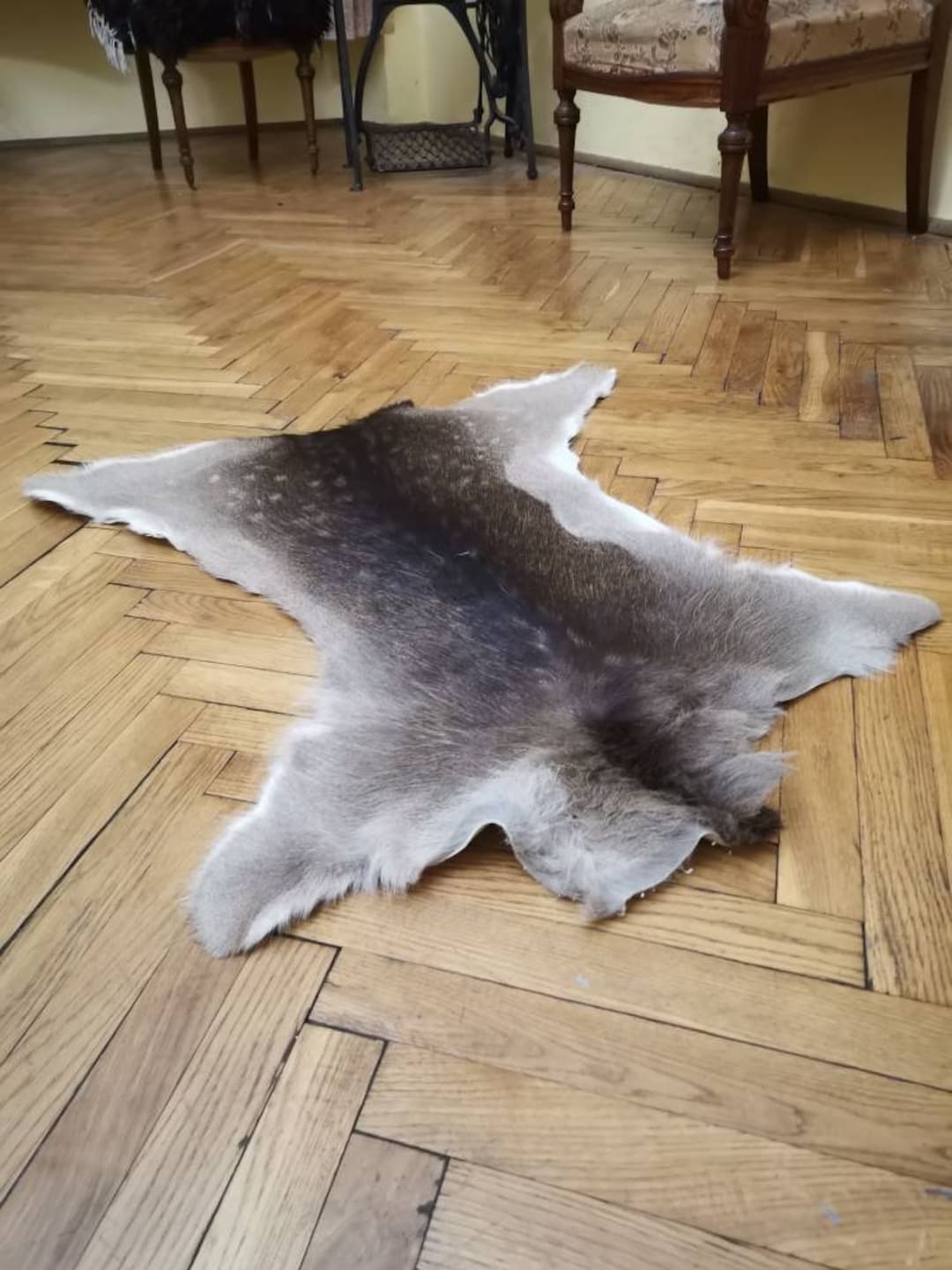 Fallow Deer Skin Hide Area Rug Fur dama Dama Living Room Hallway ...