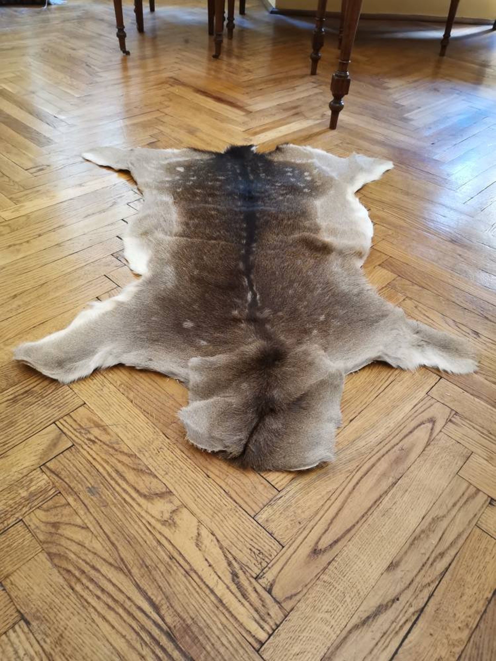 Fallow Deerskin Hide Area Rug Fur Home Decor Living Room - Etsy