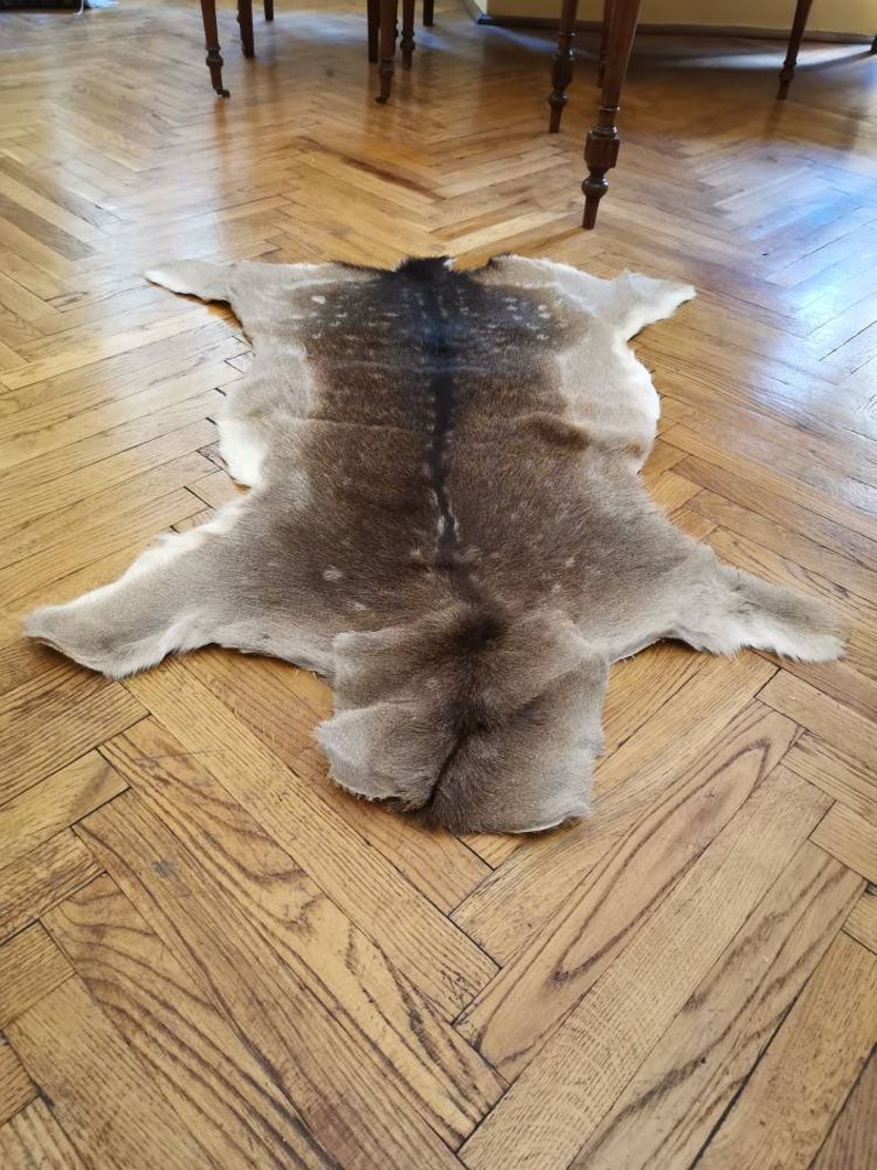 Fallow Deerskin Hide Area Rug Fur Home Decor Living Room - Etsy
