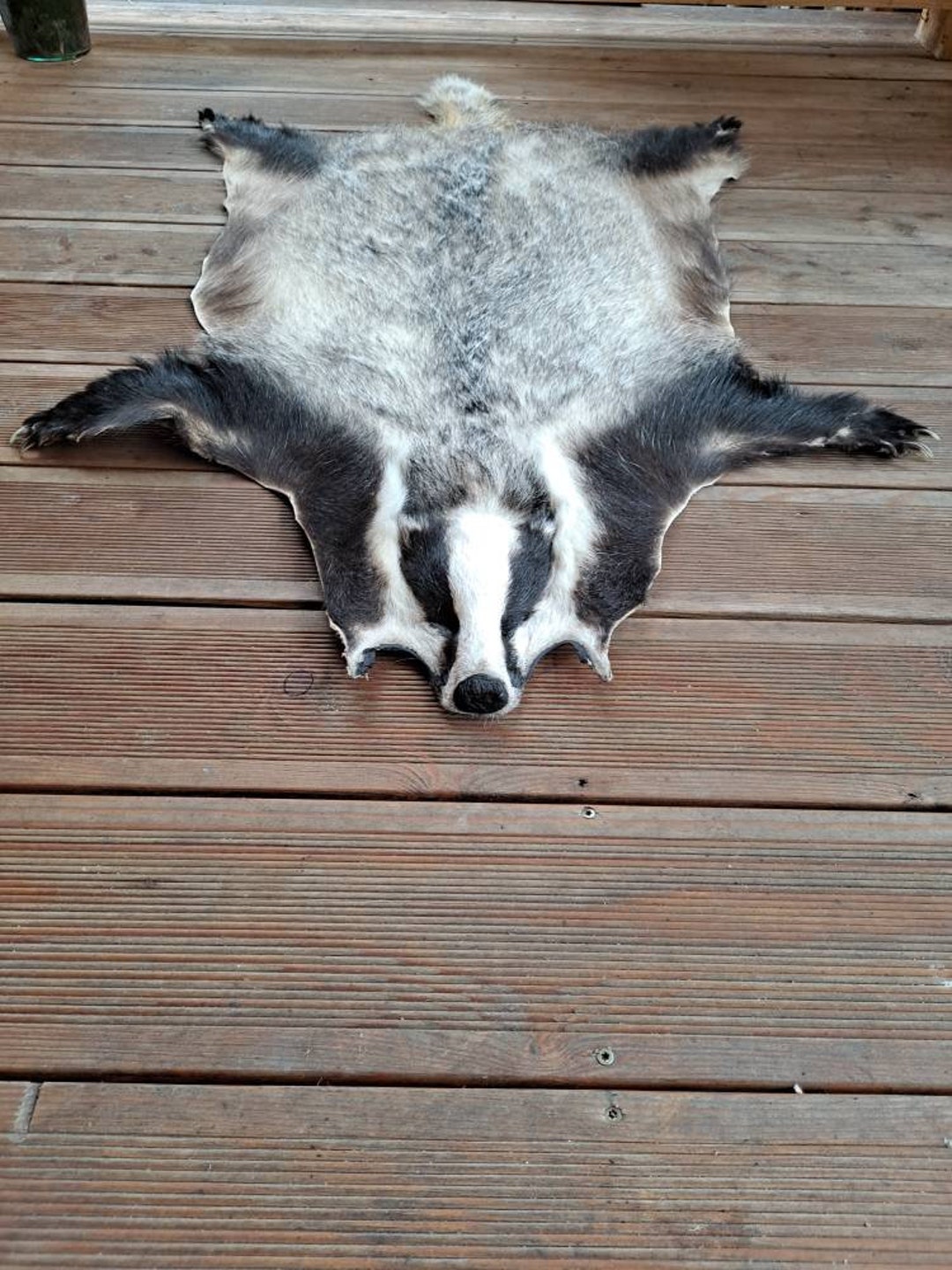 Continental European Wild Badger Skin Rug Hide Fur Pelt - Etsy