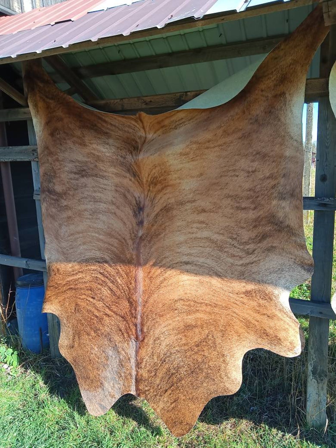 Quality Giant Cowhide Cow Skin Hide Pelt Area Rug Fur Home Decor Living ...