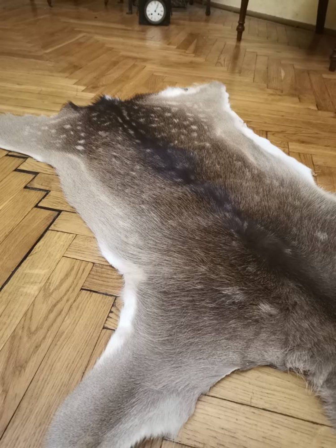 Fallow Deer Skin Hide Area Rug Fur dama Dama Living Room - Etsy