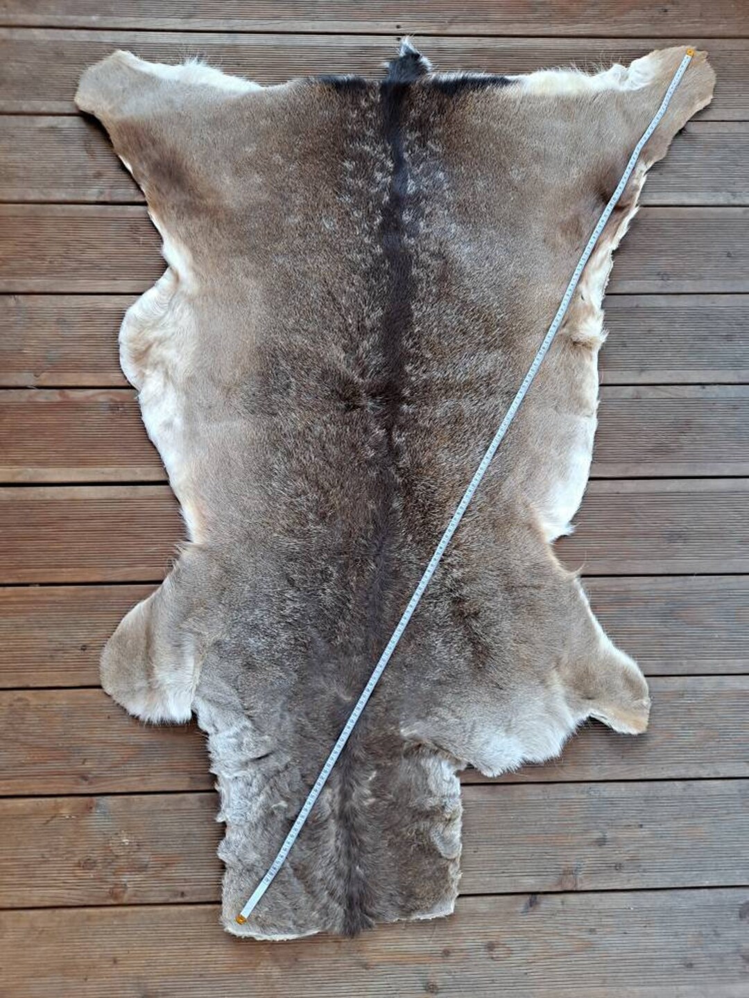 Large Fallow Deer Skin Hide Rug Fur dama Dama Living Room - Etsy