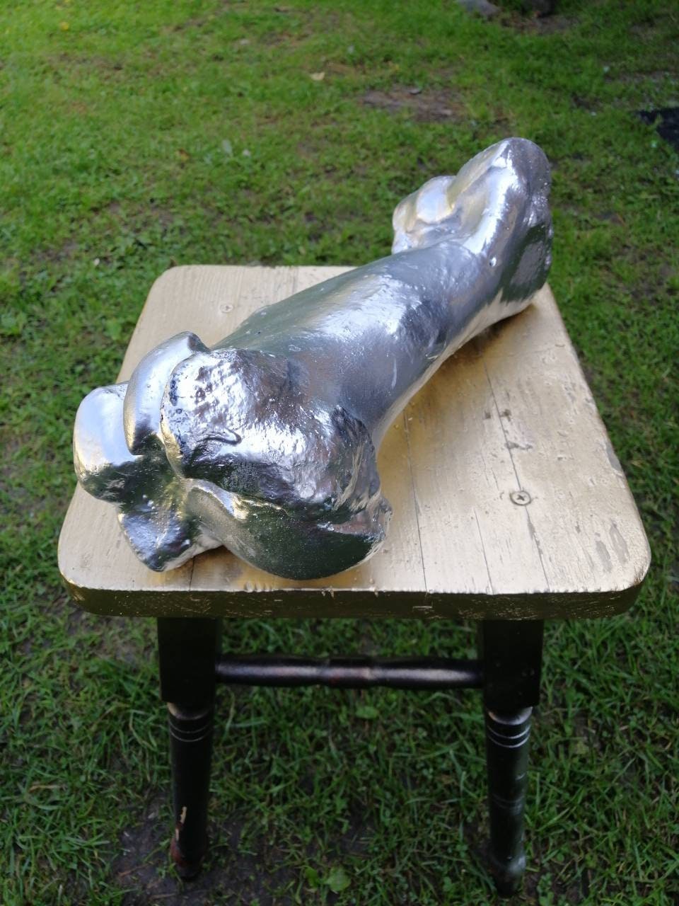 Real horse bone leg painted in silver taxidermy education | Etsy