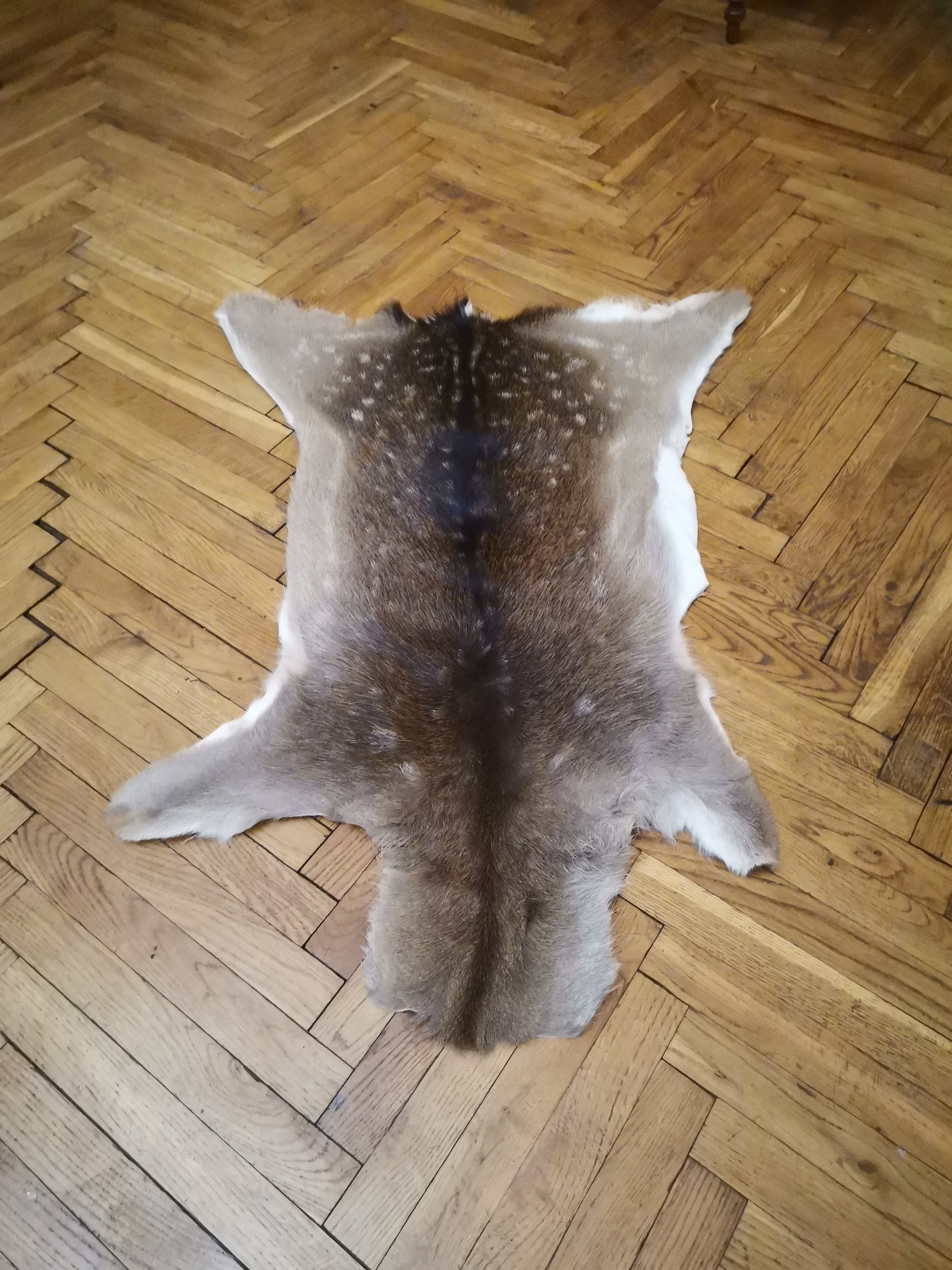 Fallow Deer Skin Hide Area Rug Fur dama Dama Living Room | Etsy
