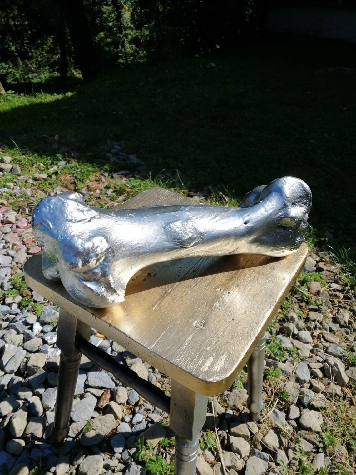 Real horse bone leg painted in silver taxidermy education | Etsy