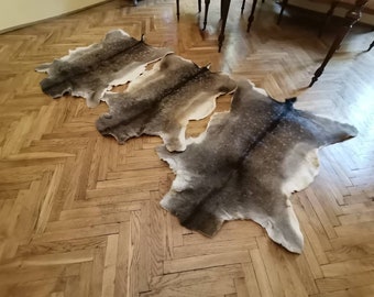 Fallow Deerskin Hide Area Rug Fur Home Decor Living Room | Etsy