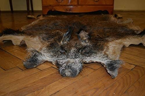 Real Giant European Wild Boar Skin Pelt Area Rug Hide - Etsy