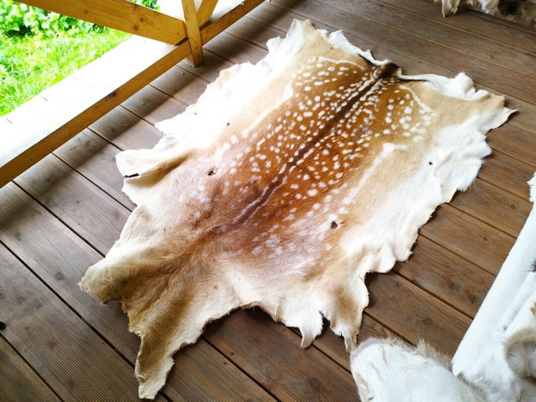 Fallow Deer Skin Hide Area Rug Fur dama Dama Living Room - Etsy