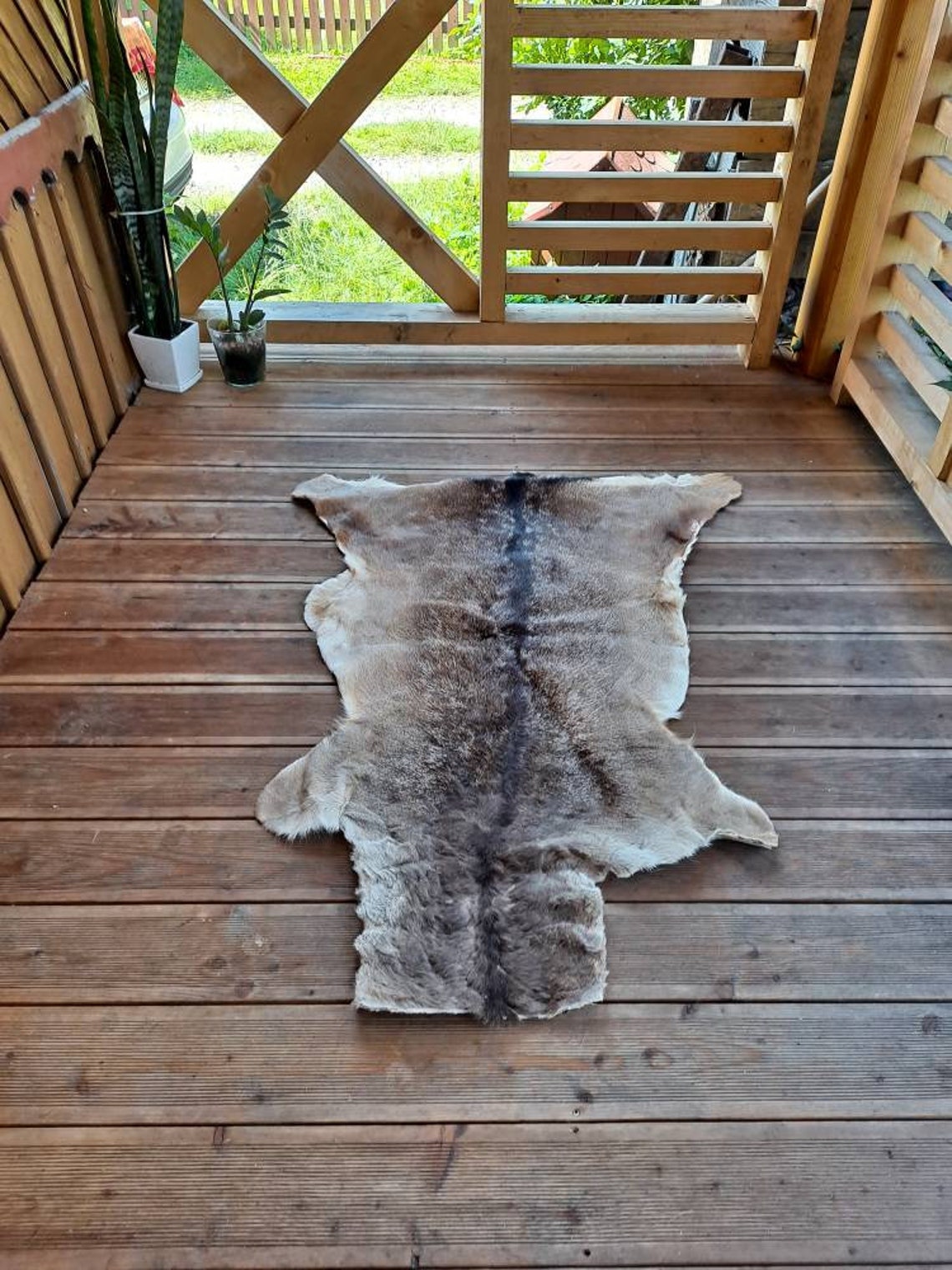 Large Fallow Deer Skin Hide Rug Fur Dama Dama Living Room | Etsy