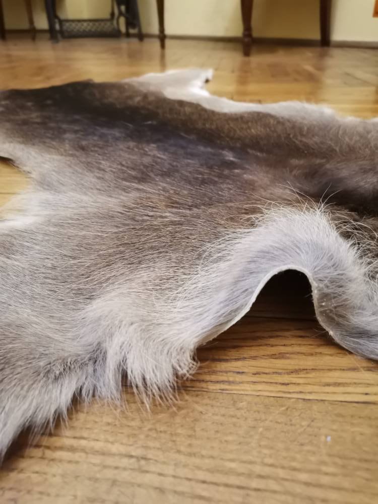 Fallow Deer Skin Hide Area Rug Fur dama Dama Living Room | Etsy