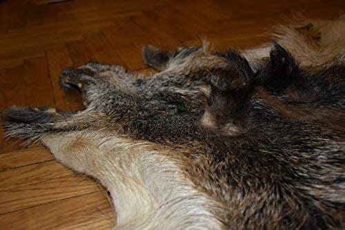 Real Giant European Wild Boar Skin Pelt Area Rug Hide - Etsy