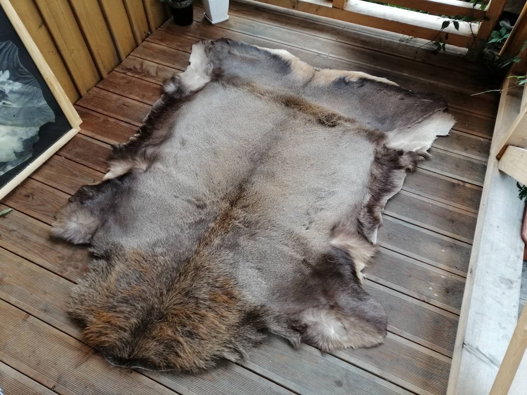 Large Giant Red Deer Skin Hide cervus Elaphus Stag Fur Pelt - Etsy ...