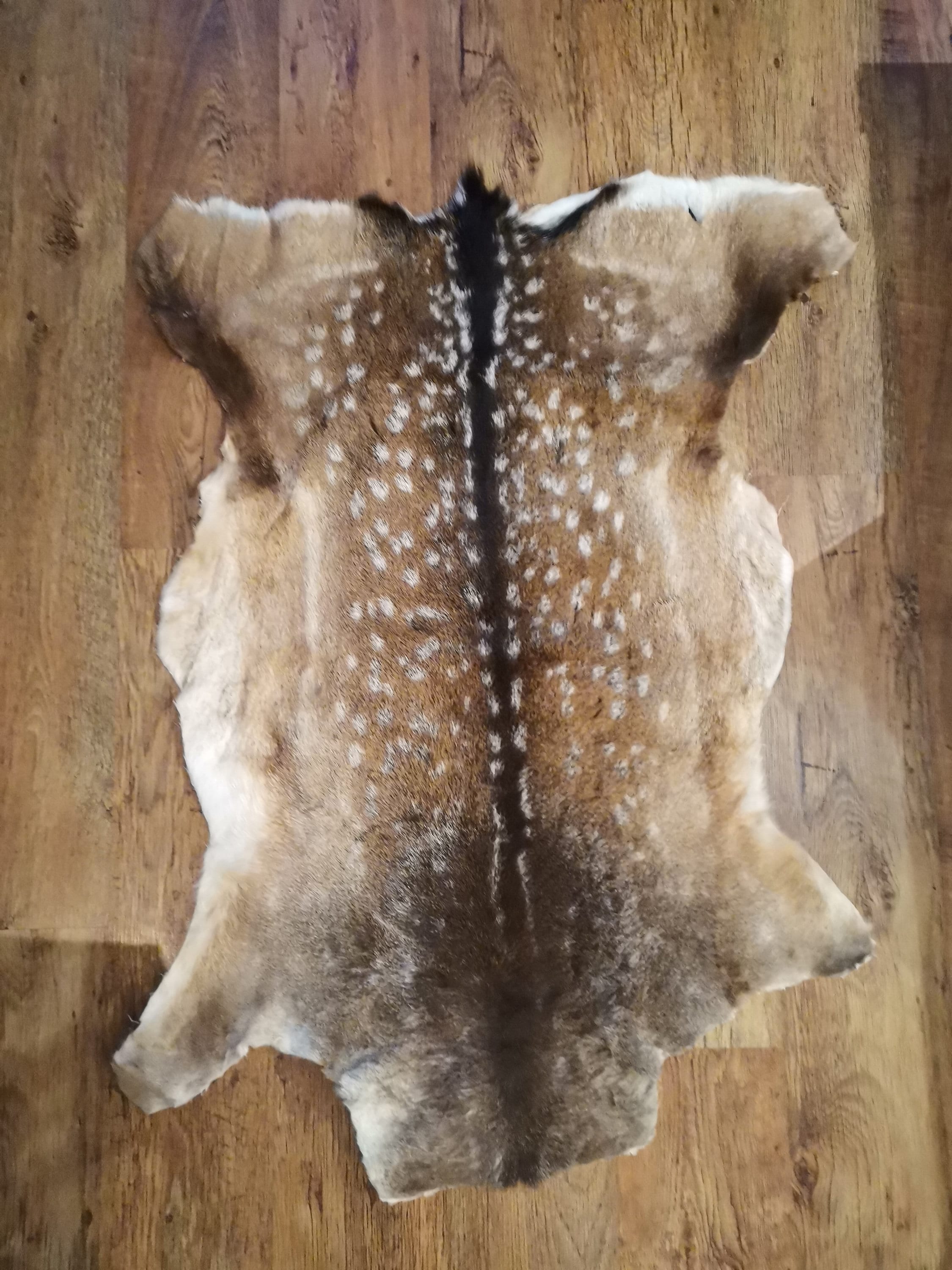 Fallow Deer Skin Hide Area Rug Fur dama Dama Living Room - Etsy Canada