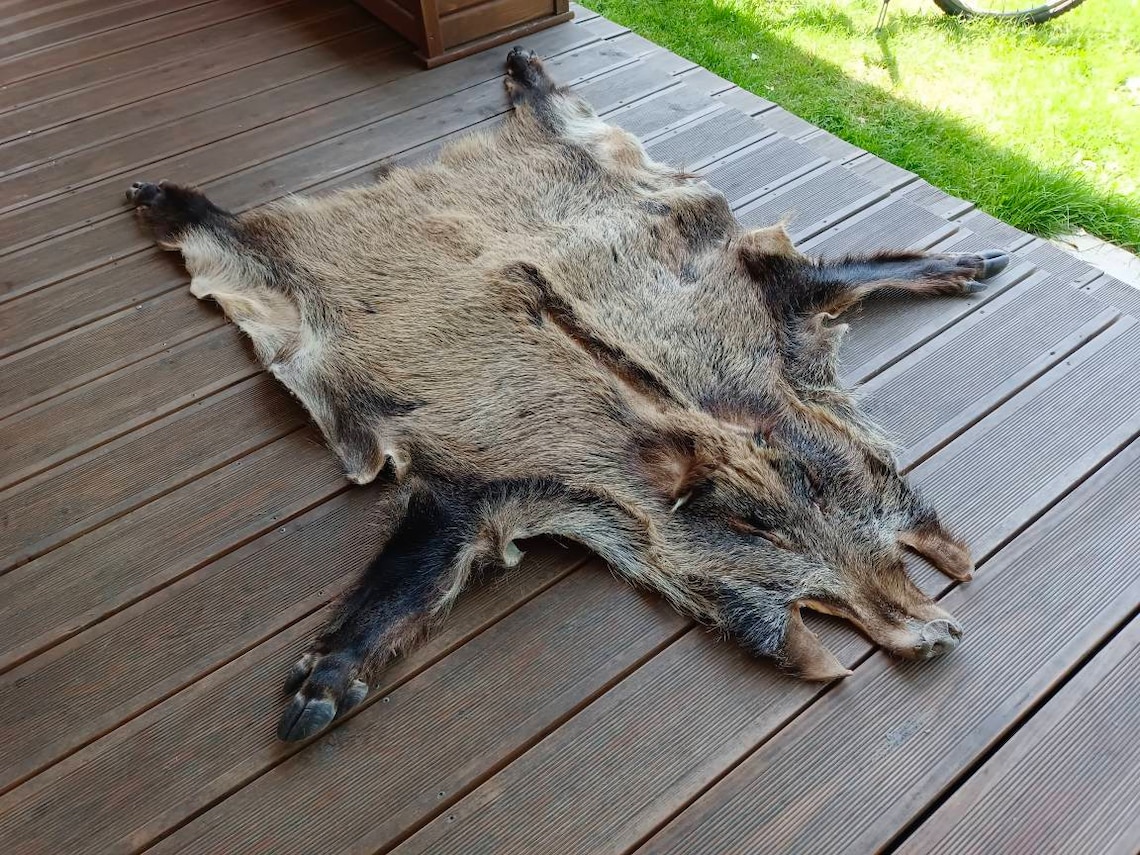 Real Giant European Wild Boar Skin Hooves Hide Pelt Area Rug - Etsy