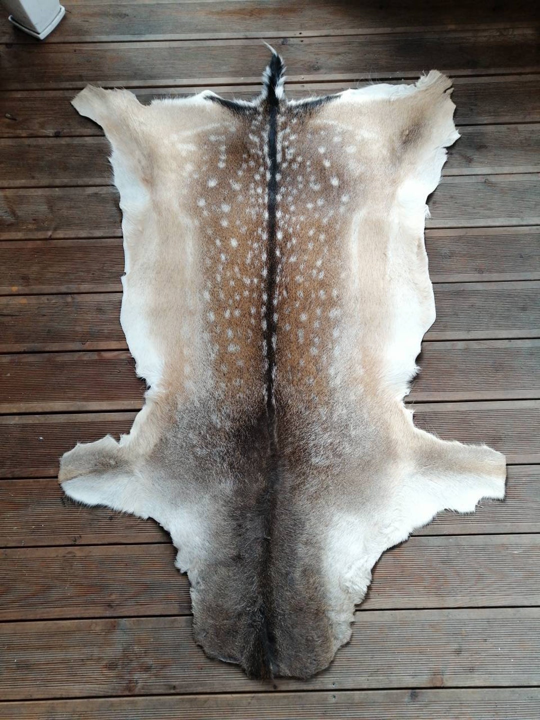 Fallow Deer Skin Hide Area Rug Fur dama Dama Living Room Hallway ...