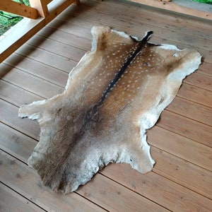 Large Fallow Deer Rug Skin Hide Fur Pelt Hunting House Home - Etsy