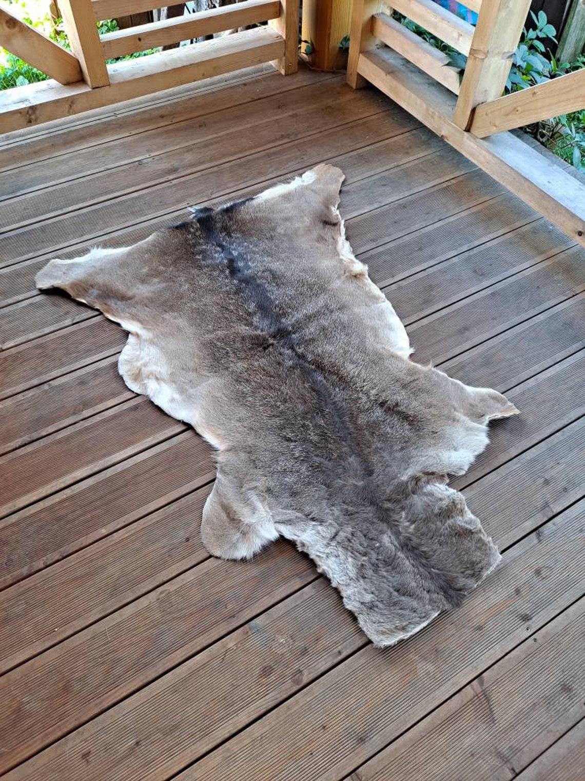 Large Fallow Deer Skin Hide Rug Fur Dama Dama Living Room | Etsy