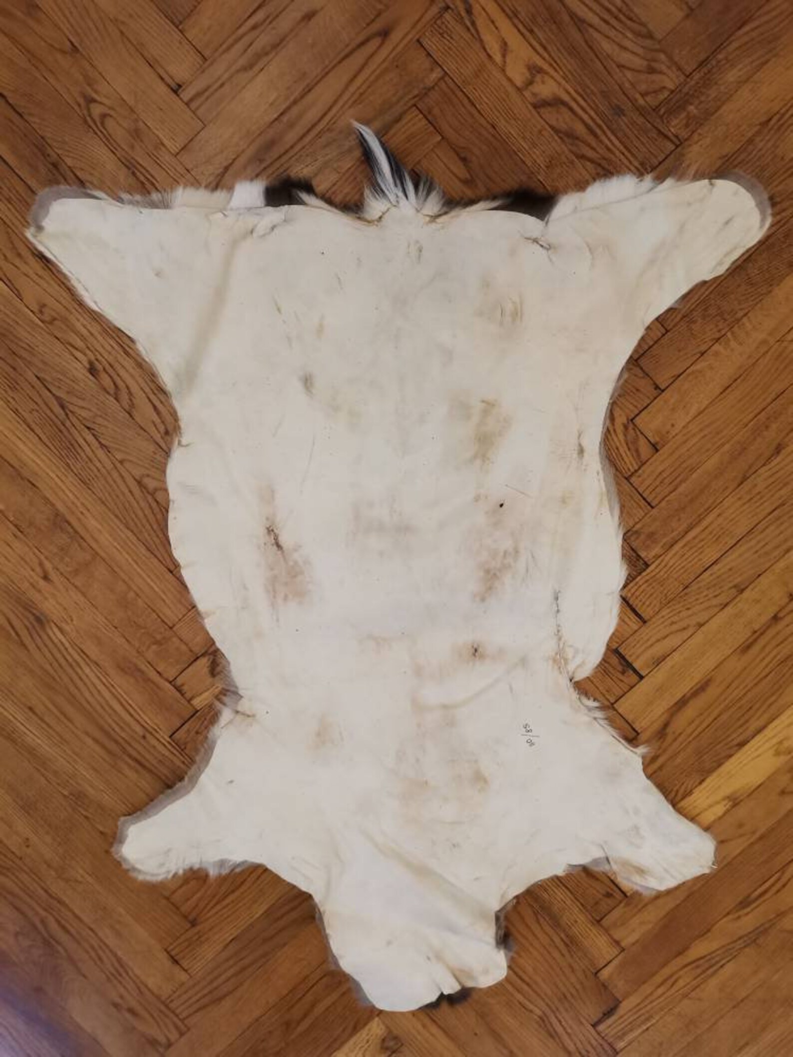 Fallow Deerskin Hide Area Rug Fur Home Decor Living Room - Etsy