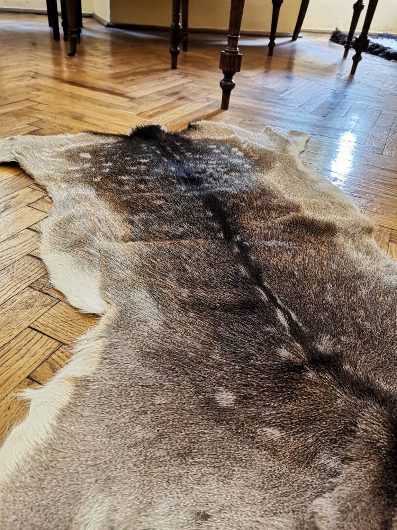 Fallow Deerskin Hide Area Rug Fur Home Decor Living Room - Etsy