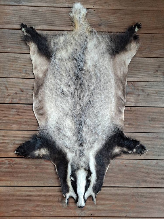 Continental European Wild Badger Skin Rug Hide Fur Pelt - Etsy