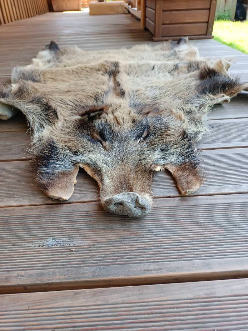 Real Giant European Wild Boar Skin Hooves Hide Pelt Area Rug - Etsy