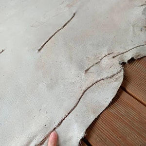 Large Fallow Deer Rug Skin Hide Fur Pelt Hunting House Home - Etsy