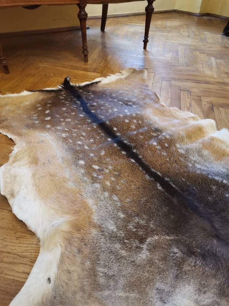 Large Fallow Deerskin Hide Area Rug Fur dama Dama Home Decor - Etsy