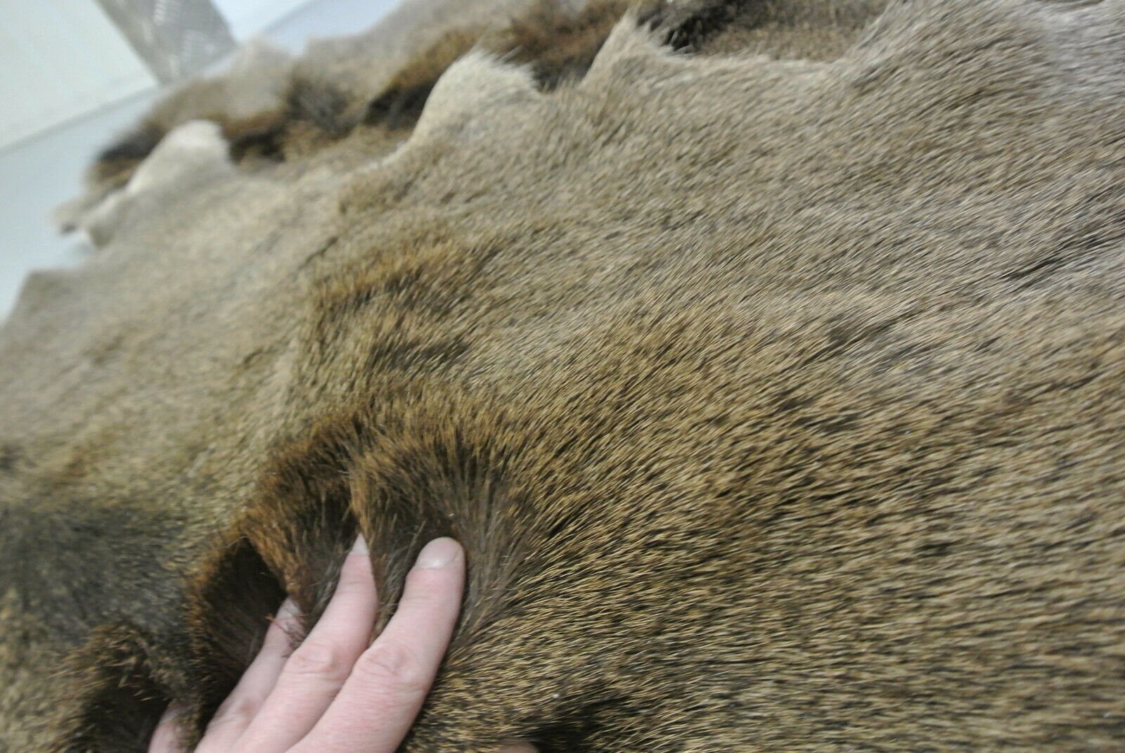 Set of 3 Red Deer Skin Hide Cervus Elaphus Stag Fur Pelt Rug | Etsy
