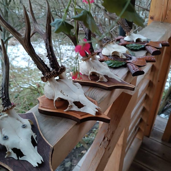 Deer Antler Wall Art - Etsy