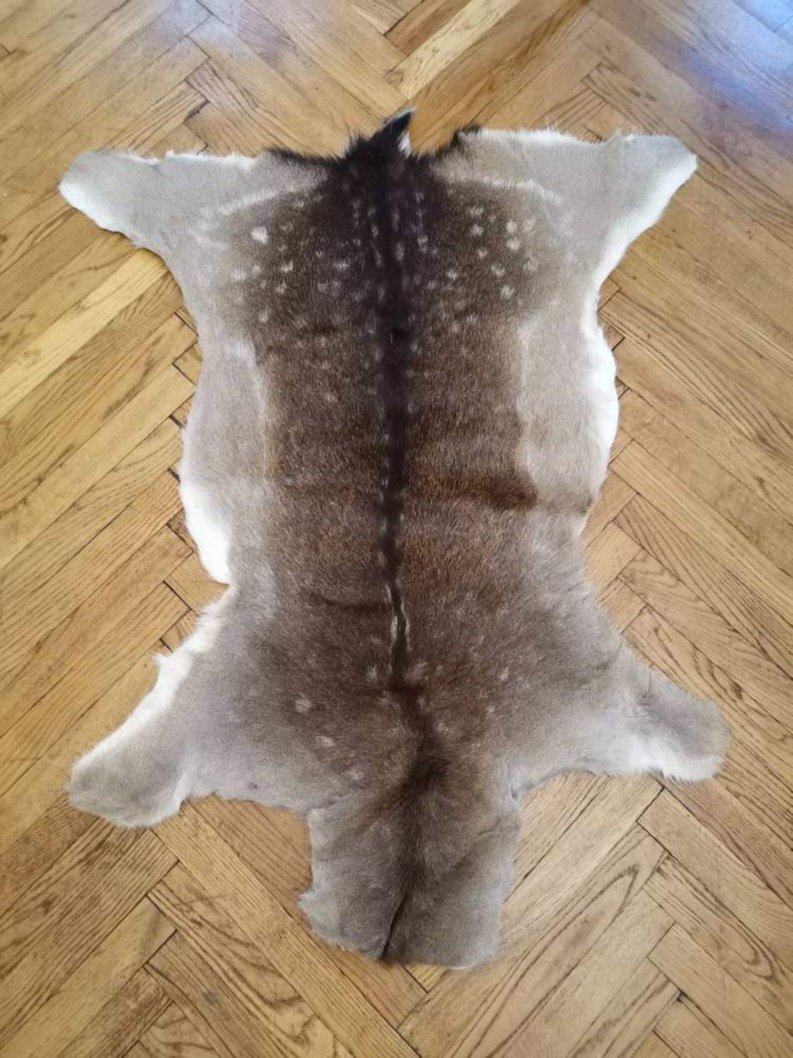 Fallow Deerskin Hide Area Rug Fur Home Decor Living Room - Etsy