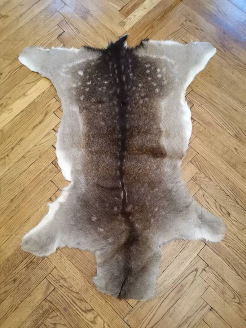 Fallow Deerskin Hide Area Rug Fur Home Decor Living Room - Etsy