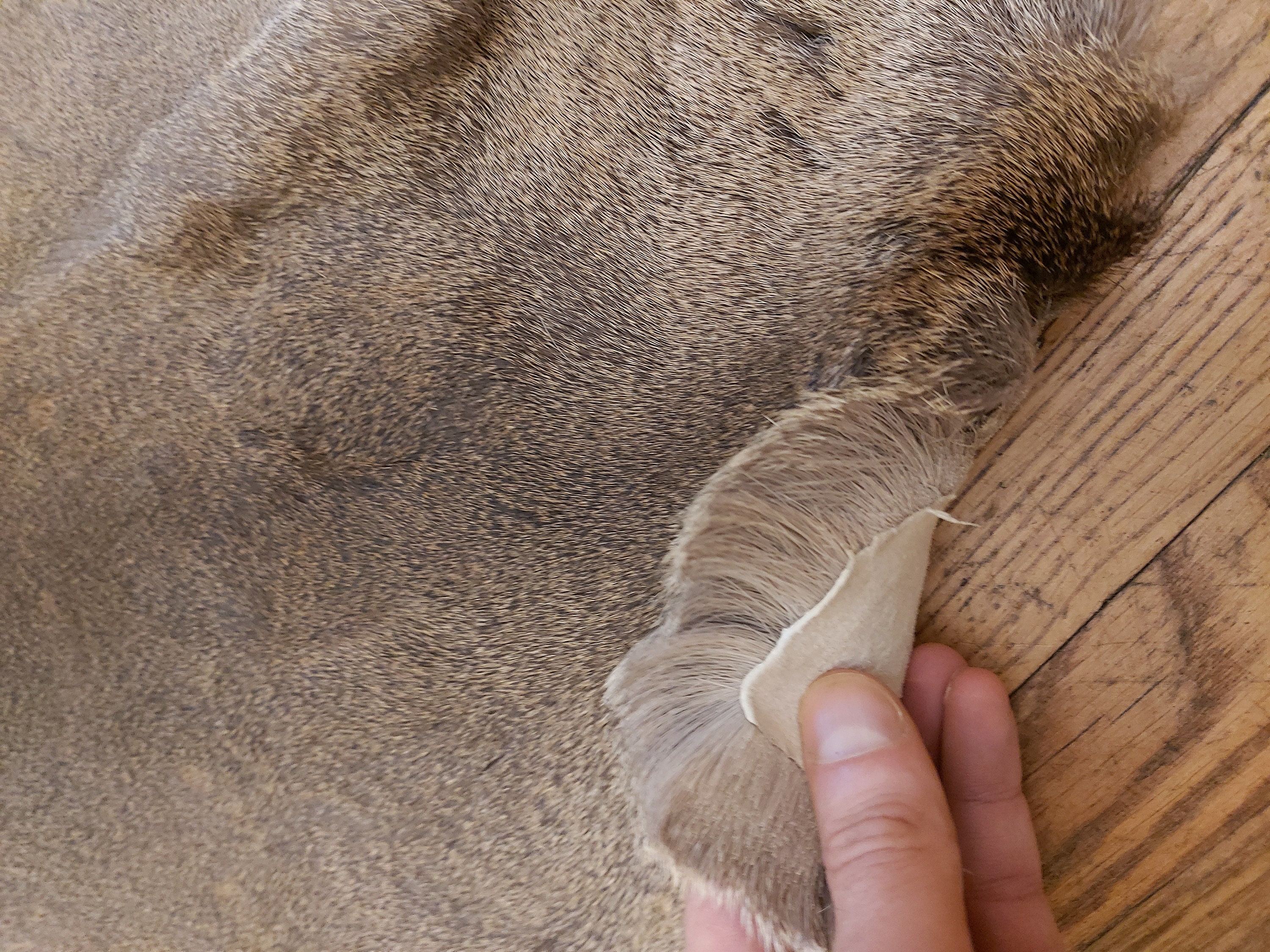 Set of 3 large roe deer skin hide area rug luxury living room | Etsy